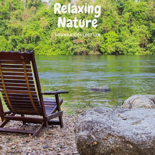 Stream Relaxing Nature Sounds Collection | Listen to Canopy Branch Vistas playlist online for ...