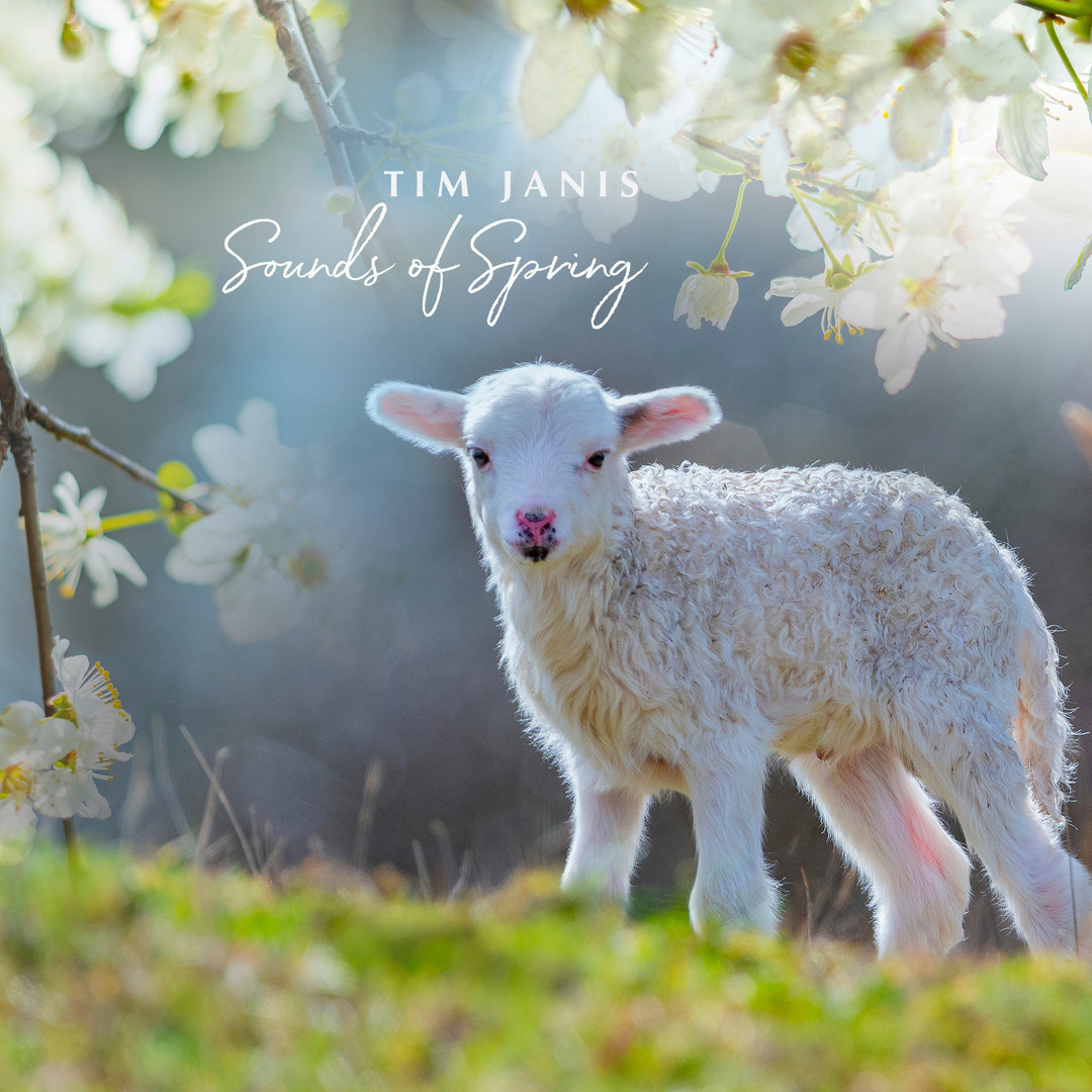 Stream Tim Janis | Listen to Sounds of Spring playlist online for free ...