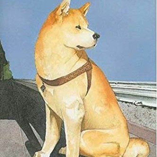 Hachiko Waits