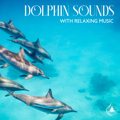 Stream Calming Water Consort | Listen to Dolphin Sounds with Relaxing ...
