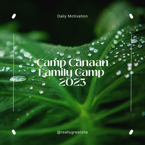 Stream Saline Baptist Church | Listen to Camp Meeting 2023 playlist ...