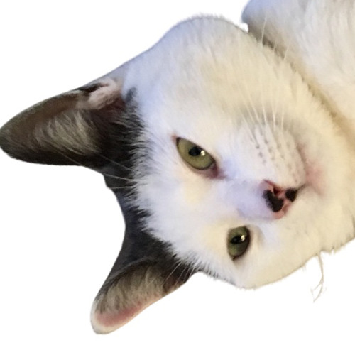 Stream The full brochure by Ryan Cavanaugh | Listen online for free on SoundCloud