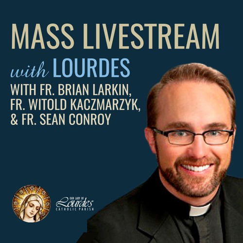 Stream 29th Sunday of Ordinary Time | I Am Not Your Priest | Fr. Brian ...