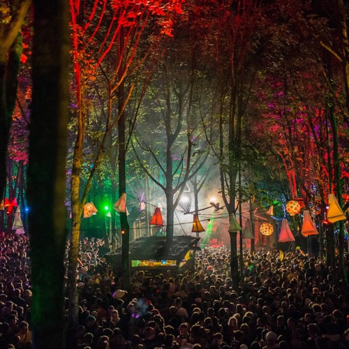 Forest Party Telegraph