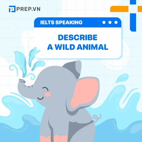Stream episode PREP.VN | Topic Protecting Animals | IELTS Speaking Part ...