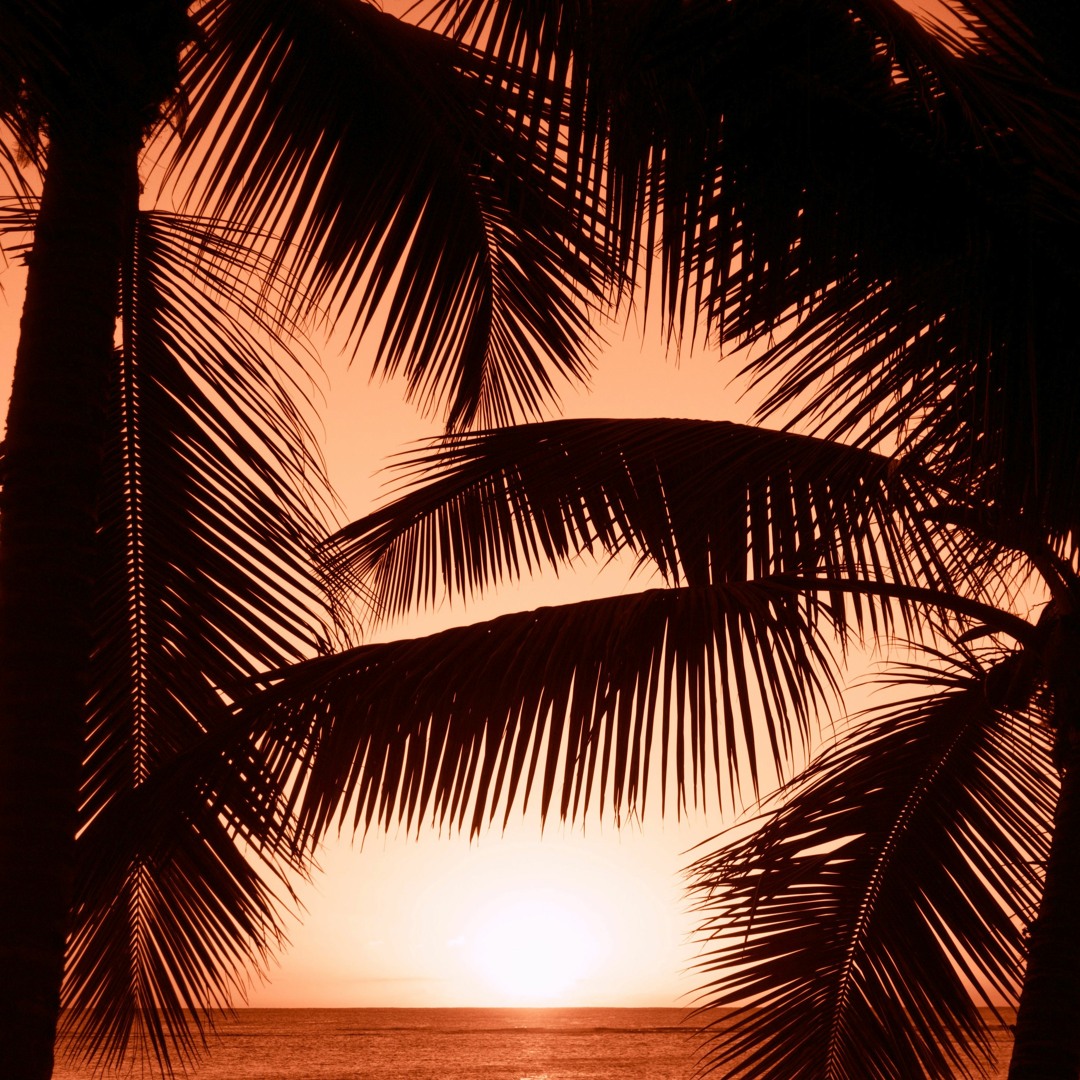 Stream LoveScouts - Envision 2024 by CHÁ | Listen online for free on ...