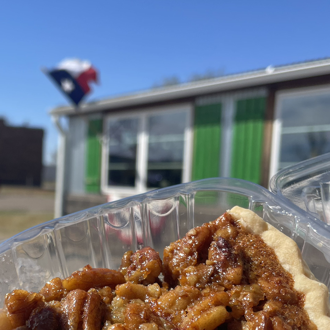 Stream Ezra & Juniper - Texas Song (Sandy Cheeks Cover) by musicwavves ...