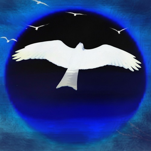 Stream Soaring Ever Higher by Kolttis | Listen online for free on SoundCloud