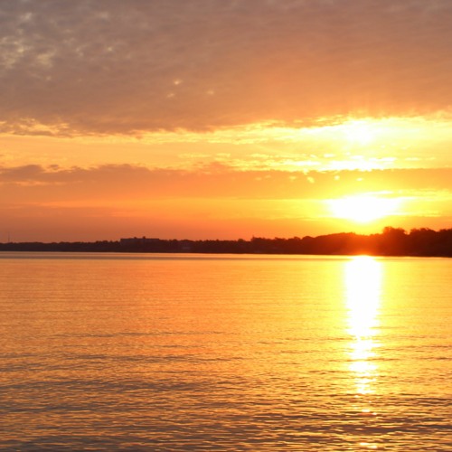 Stream El Sol by Reggie Fields | Listen online for free on SoundCloud