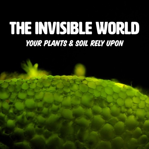 Stream episode Ep. 185 | The Invisible World Your Plants & Soil Rely ...