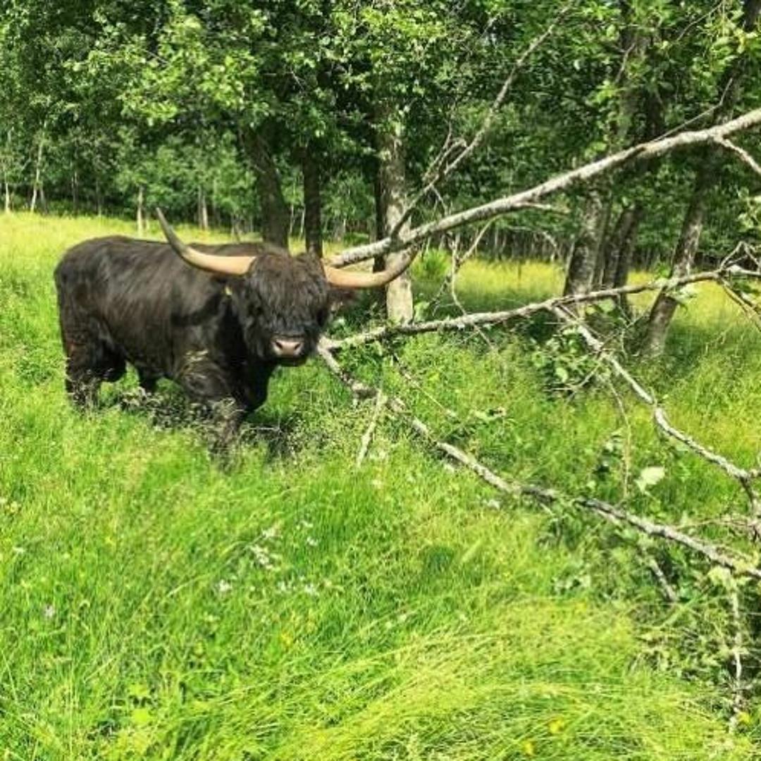 Stream notlieu - why would i by notnotlieu2 | Listen online for free on ...