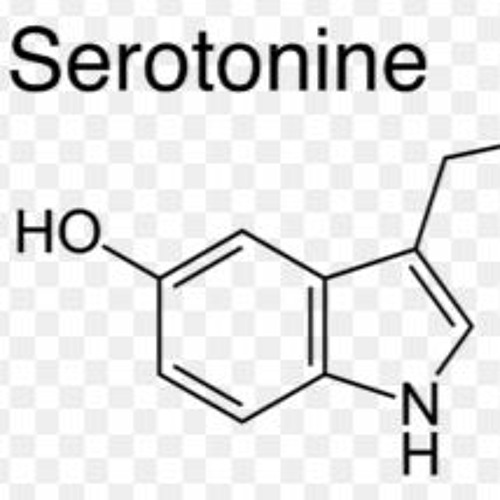 Stream Serotonine (prod. abysshund) by magpie. | Listen online for free ...