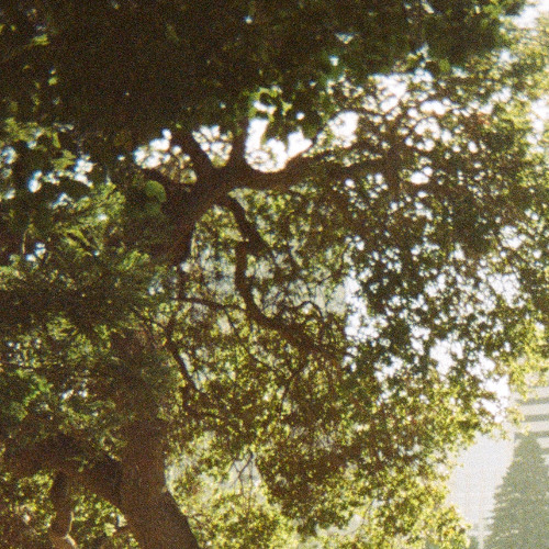 Stream c'est magnifique ft freddy todd (day twenty) by Duffrey | Listen ...