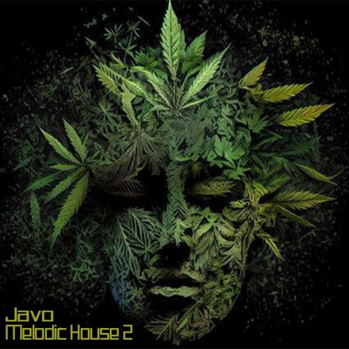 Stream Javo - Melodic House 2 by Javo Juarez | Listen online for free ...