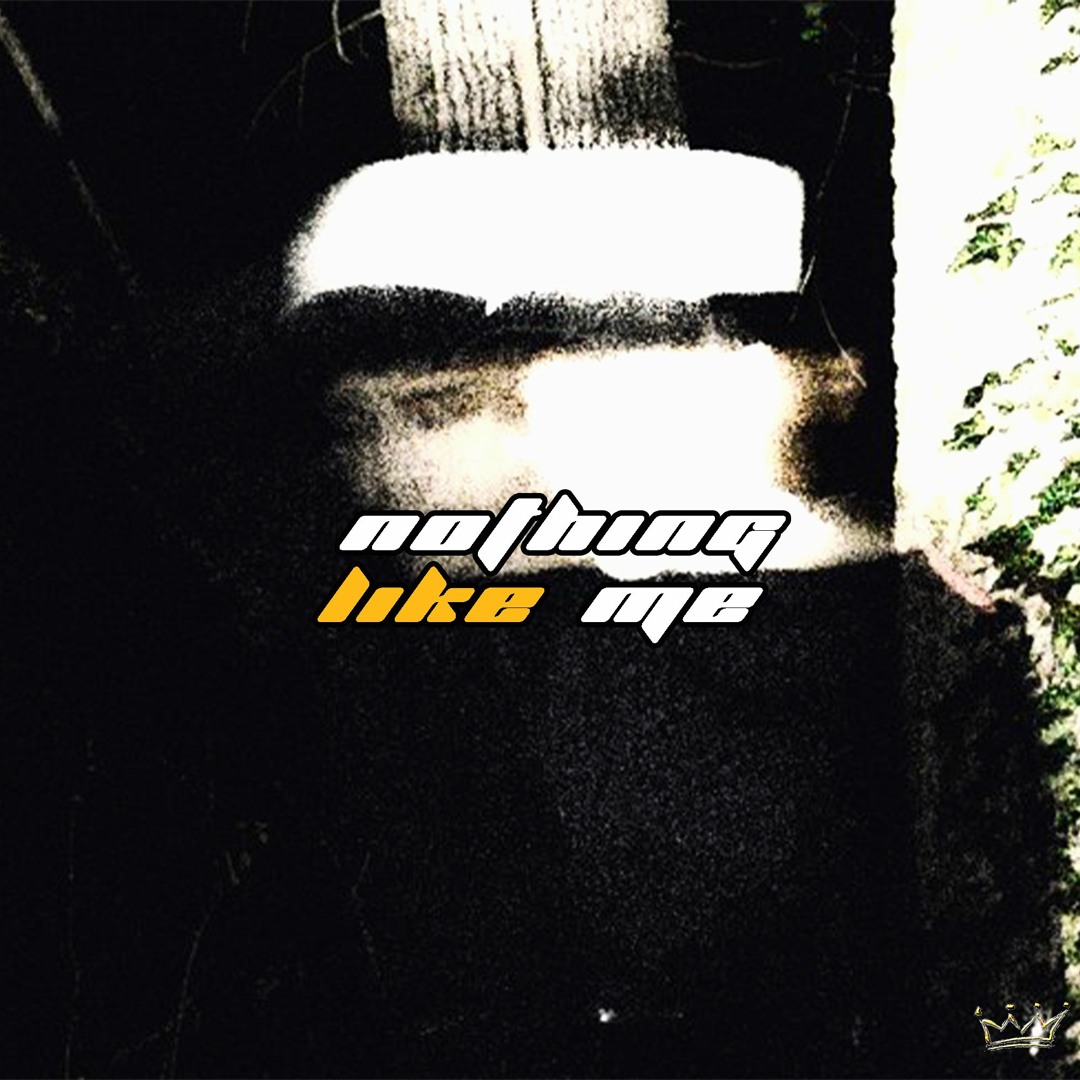 Stream nothing like me (Lynzz Remix) - Control Freak by 𝐋𝐘𝐍𝐙𝐙 | Listen ...