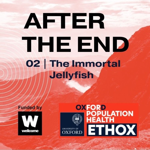 Stream 02 | The Immortal Jellyfish - Miranda Lowe by Ethox Centre ...