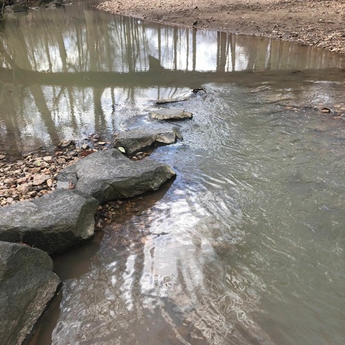 Stream Big Love Alchemy, Spoken Story 3: My Whole Body was Listening from Monisha Mittal ...