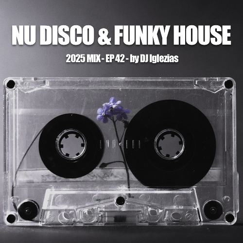 Stream Nu Disco and Funky House 2025 Set Mix - EP 42 by DJ Iglezias ...