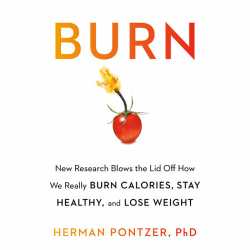 Stream Burn by Herman Pontzer PhD, read by P.J. Ochlan by PRH Audio ...