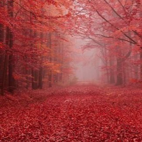 Stream GOODBYE SUMMER (MIX) by Alexander Eriksen | Listen online for ...