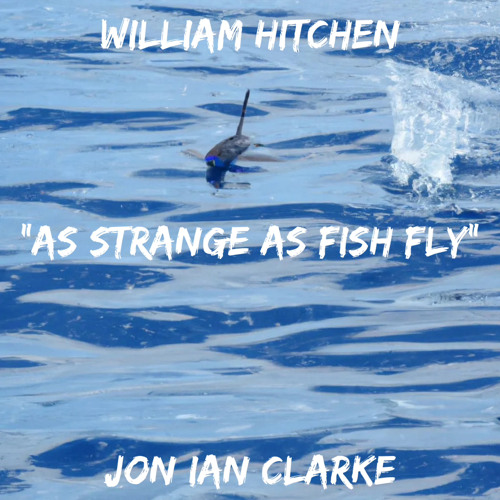 Stream ‘ As Strange As Fish Fly ‘ by Aka ' The Genie ' JIC | Listen ...