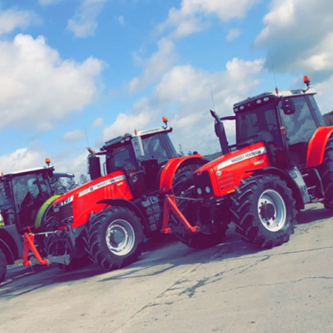 Stream Jack | Listen to Lizzy in a box🥶🥶 playlist online for free on ...