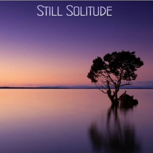Stream Still Solitude | Peaceful Music by Meditation Music | Listen ...