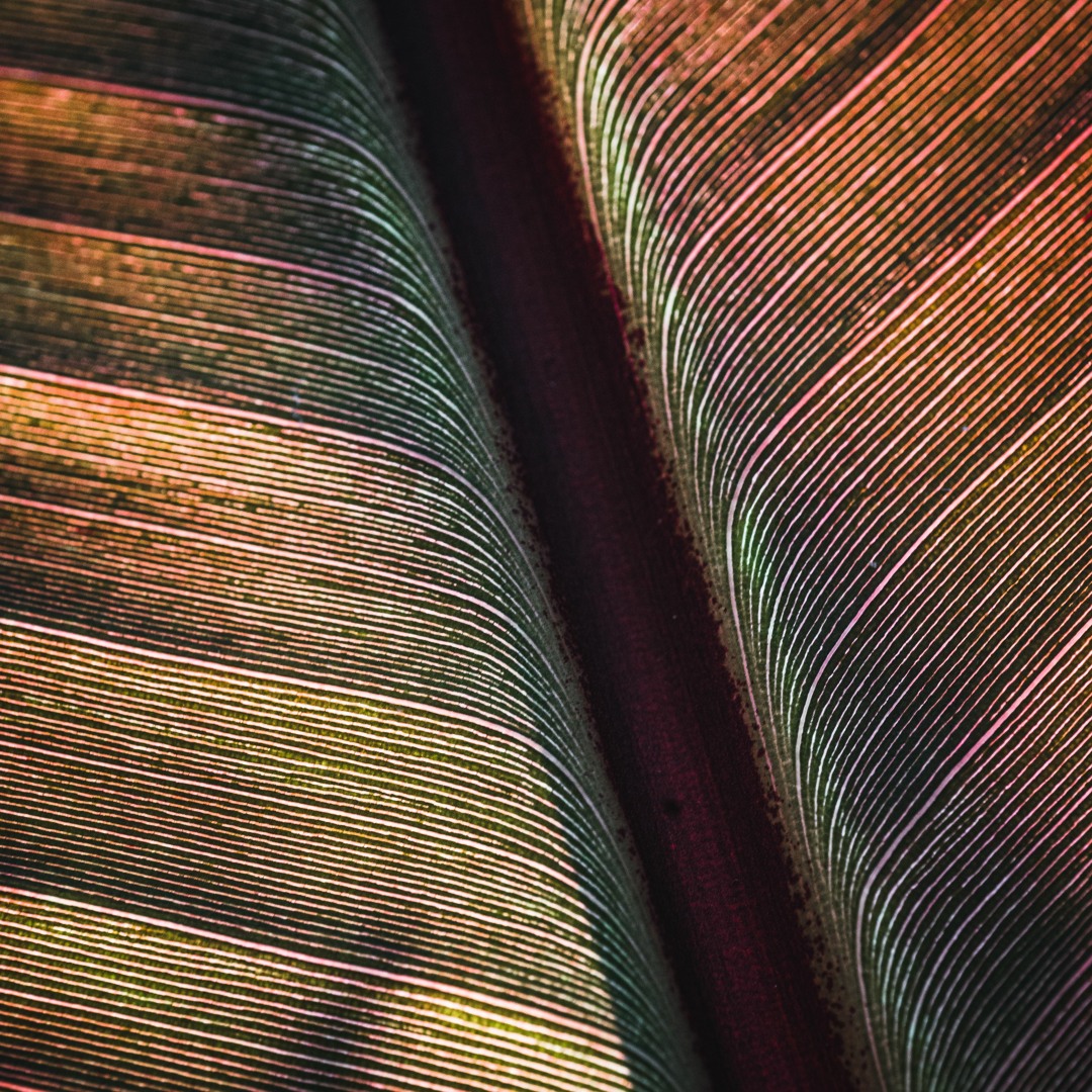 Stream CODECAST Y - tøem - New Path by codecast | Listen online for ...