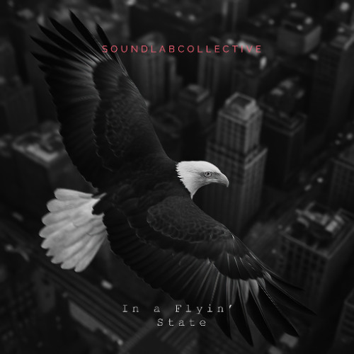 Stream In a Flyin' State by SoundLabCollective | Listen online for free ...