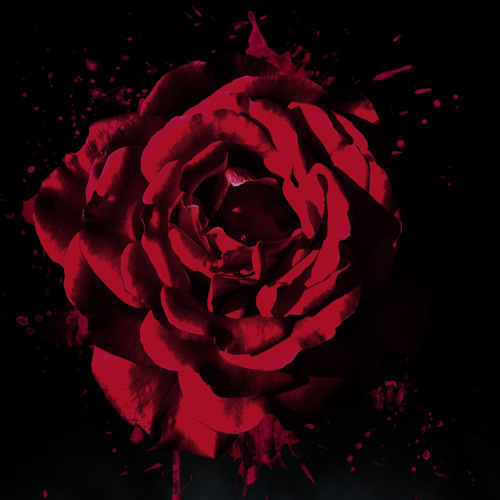 Stream ROSES by Alan mason | Listen online for free on SoundCloud