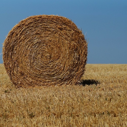 Stream Akino Sora by tacayuki | Listen online for free on SoundCloud