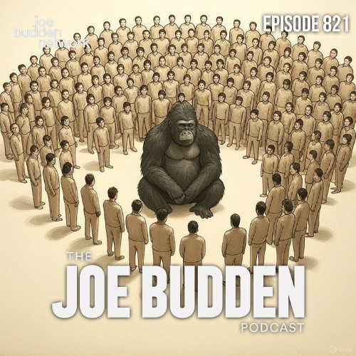 Stream Episode 821 The Natty By The Joe Budden Podcast Listen
