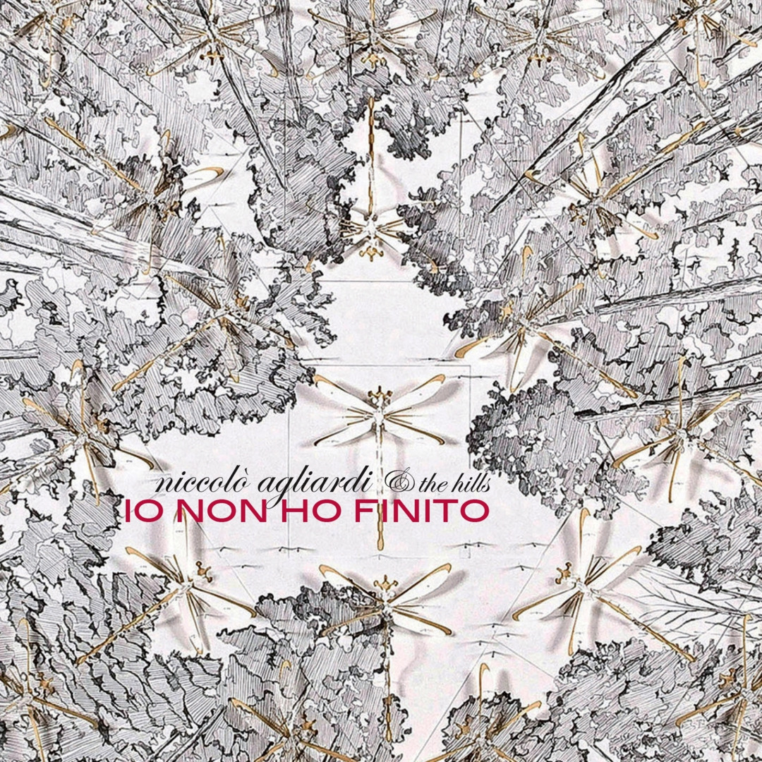 Stream Niccolò Agliardi | Listen to Io non ho finito playlist online ...