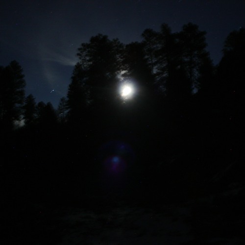 Stream You Are Free To Do Anything by Anthony Marsico | Listen online ...