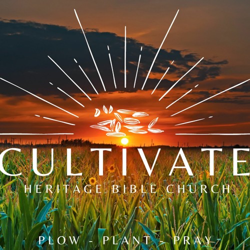 Stream Preaching & Persecution by Heritage Bible Church | Listen online ...
