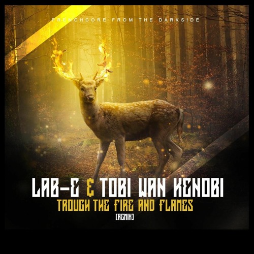 Stream Lab - E & Tobi Wan Kenobi - Through The Fire And Flames (Remix ...