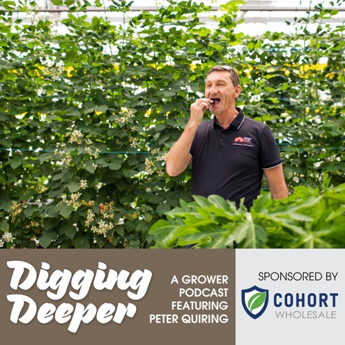 Stream Peter Quiring explains why he started an R & D Centre by The ...