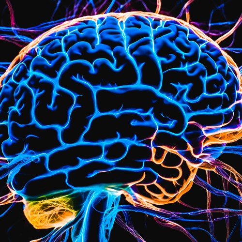 Stream Synaptic Flow by Lammer's music | Listen online for free on ...