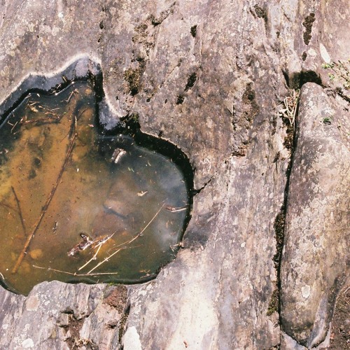 Stream What Do You Mean You Don't Take Cash? by Mr Moc | Listen online ...