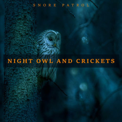 Stream Snore Patrol | Listen to Night Owl And Crickets playlist online ...