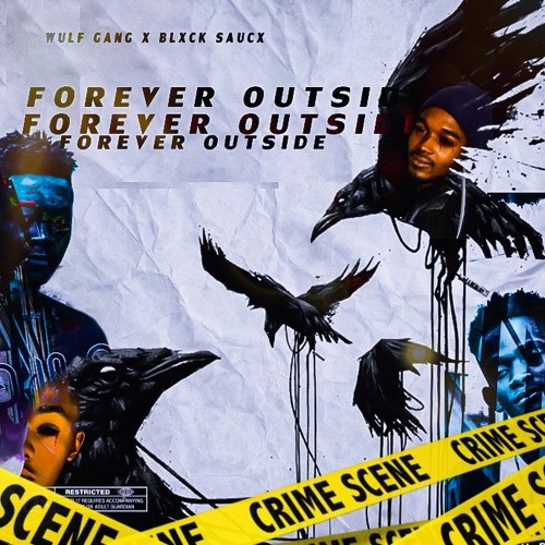 Stream Wulf Gang x Blxck Saucx - Bird Box.mp3 by Wulf Gang | Listen ...