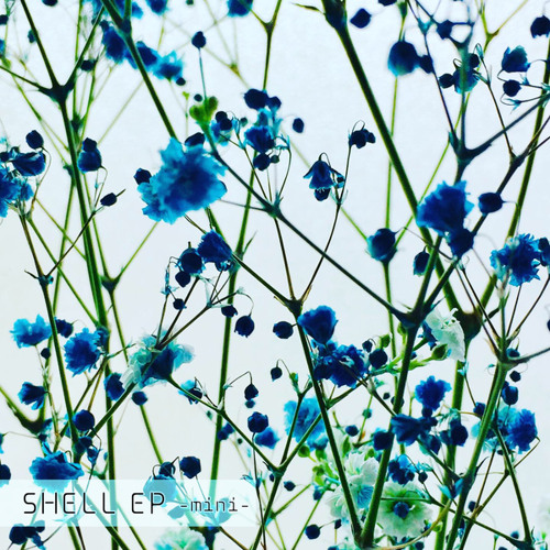 Stream SHELL | Listen to SHELL EP -mini- playlist online for free on ...