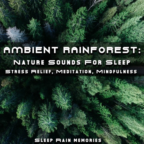 Stream Sleep Rain Memories Listen To Ambient Rainforest Nature