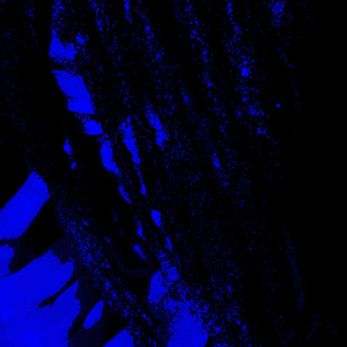 Stream round the wrld (prod. elujjin) by misanthrøpe! | Listen online ...