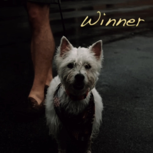 Stream Sometimes- Alex G Slowed and Reverberated by kopen | Listen ...