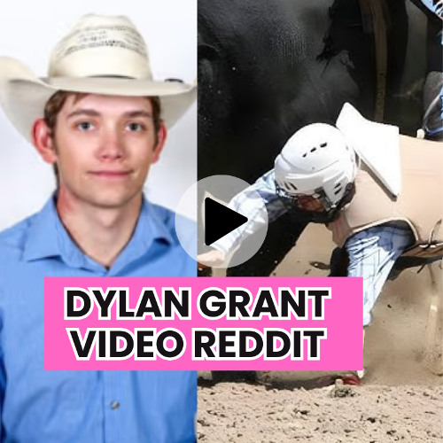 Stream Full Video: Bull Rider Dylan Grant Video, Dylan Grant Accident ...