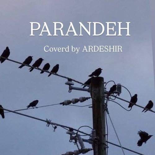 Stream PARANDEH- ARDESHIR COVER.mp3 by Ardeshir Naserzade | Listen ...