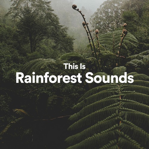 Stream This Is Rainforest Sounds, Pt. 12 by Rainforest Sounds | Listen ...