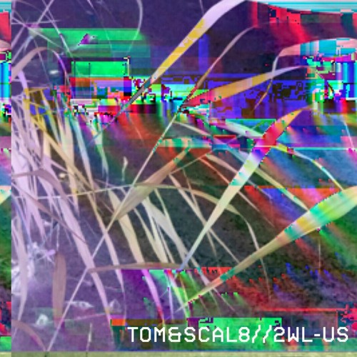 Stream Agreement Tropicana (Claim the World) by Tom Ransom | Listen ...