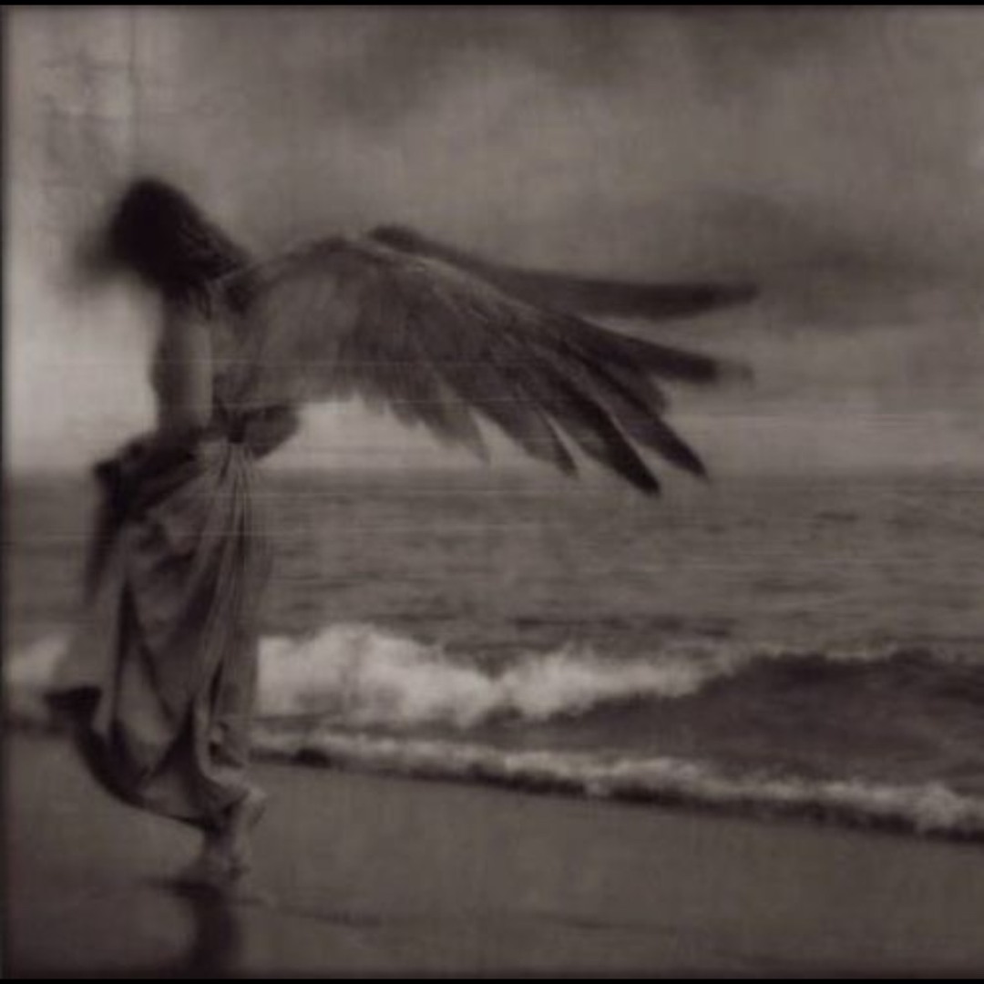 Stream you're my Angel(remix)feat.noise by Lil_zombie | Listen online ...